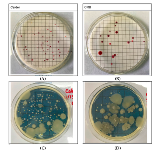Relationships Between Short-Term Exposure to an Indoor Environment and ...